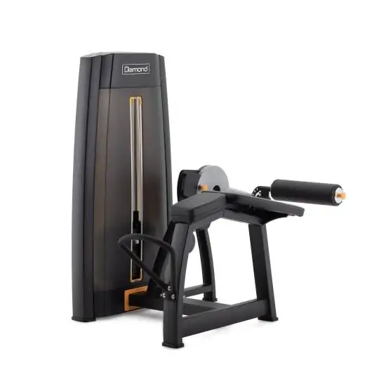 Leg Curl - Weight Stack 90 kg - Serie 750 - Diamond